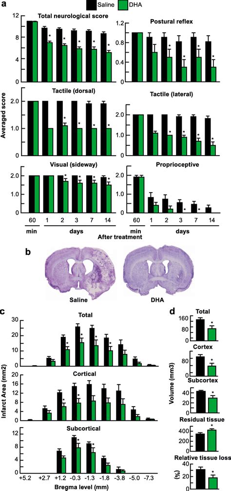 DHA Improves Behavioral And Histopathological Outcomes 2 Weeks After