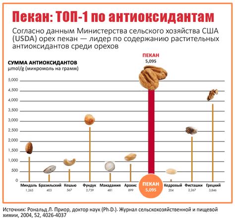 Пекан — что это такое описание фото применение в кулинарии