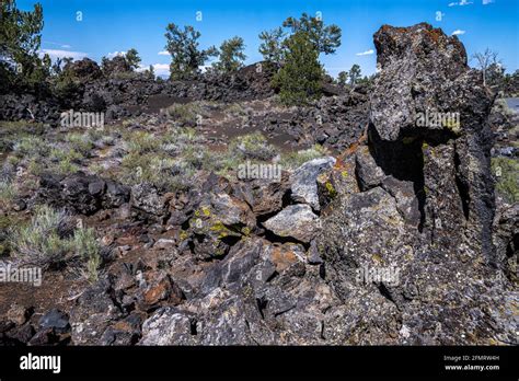 Devils Orchard In Craters Of The Moon National Monument Idaho Stock