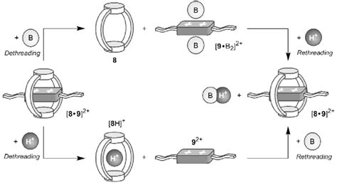 Working Mechanism Of The XOR Logic Gate Based On The Compounds Shown In Download Scientific