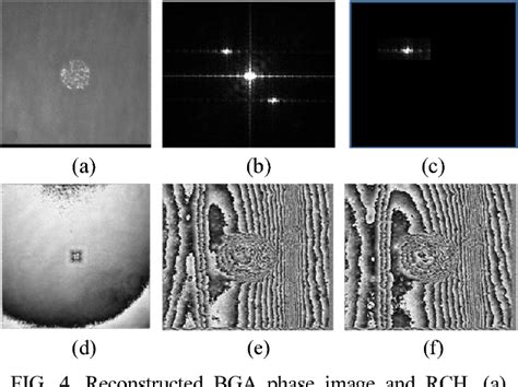 Figure 4 From Dual Wavelength Digital Holography Microscope For Bga