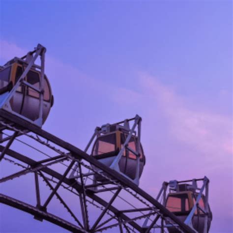 How To Deal With The Problem Of Flocculus Fmri Signal Asymmetry