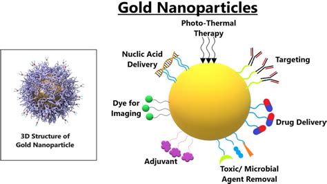 The Detailed Structure Of Gold Nanoparticles It Has Been Observed That