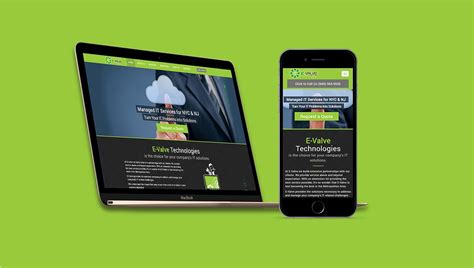 Evalve Technologies It Services Ny Digital Marketing Seo And Ppc Ads