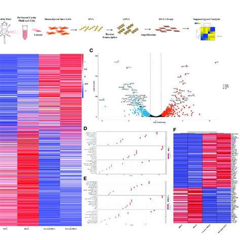 Peritoneal Lavage Fluid Primed Mscs Enhanced The Expression Of Download Scientific Diagram