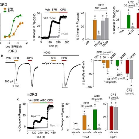 Safranal Sfr And Picrocrocin Picr Selectively Target The Human