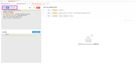 Websocket劫持 Yak Program Language