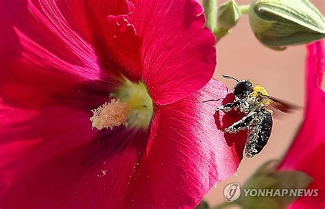 잠깐 휴식 연합뉴스