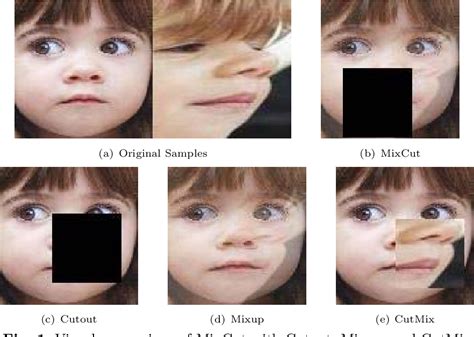 MixCut A Data Augmentation Method For Facial Expression Recognition