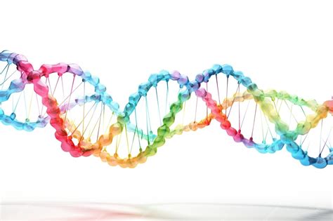 Premium Photo Dna Structure Having White Background