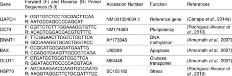 Primers That Were Used To Amplify The Selected Genes By Real Time