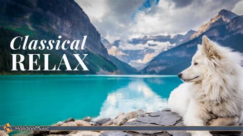 Beethoven Classical Music For Relaxation The Classic Music Vault