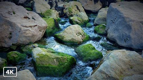 Calming Water Sounds Nature Sounds For Relaxation Deep Sleep Focus