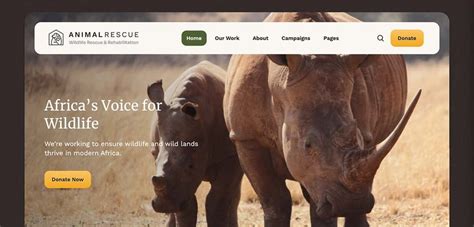 Troubleshooting Common Roundcube Issues Login Problems Email Sending