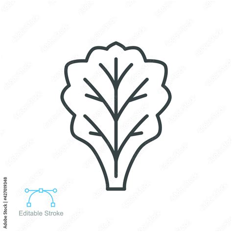Lettuce Icon Salad Sign Organic Leaf Lettuce Vegetable Logo Of