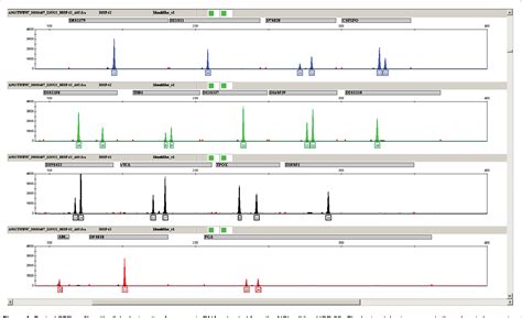 Figure 1 From Str Profiling Of Human Cell Lines Challenges And Possible Solutions To The