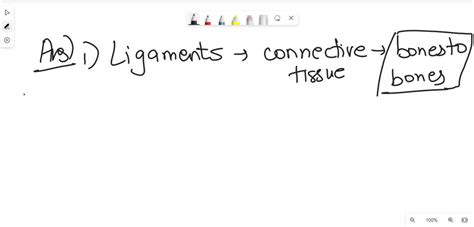 Solved Ligaments Of A Syndesmosis Are