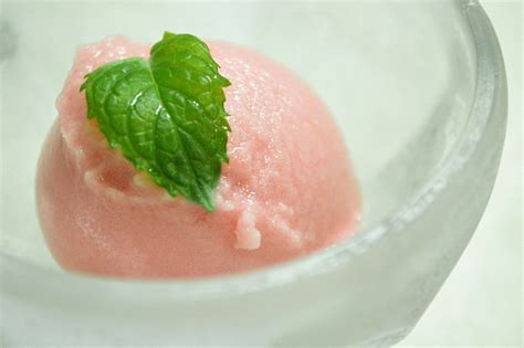 Sweet Orange Sorbet Creamy Recipes Food Processor Recipes