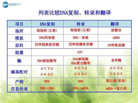 【全程复习方略】2015高考生物大一轮复习 知识点 列表比较dna复制、转录和翻译课件word文档在线阅读与下载免费文档