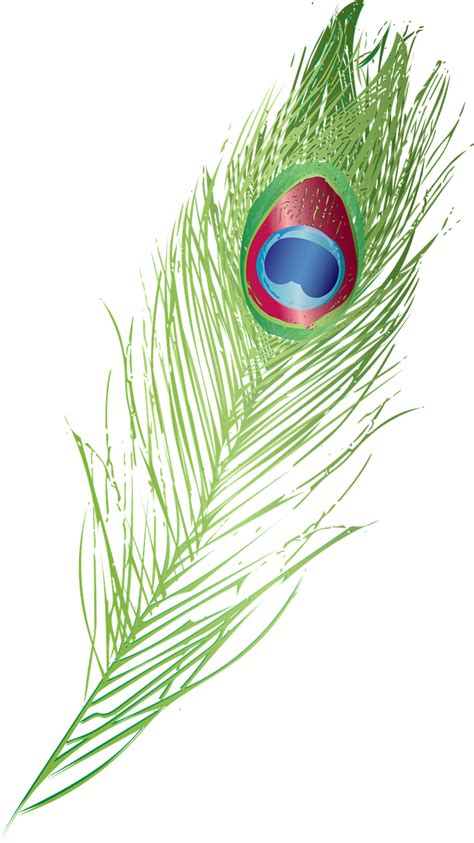 Download Graphic Peacock Feather Peacock Royalty Free Vector Graphic