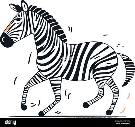 zebra vector illustration isolated on a white background stock vector