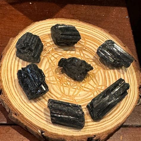 Nautilus Fossil Cretaceous Nautiloid Beautiful Collectible Polished Whole Ammonite Fossil By