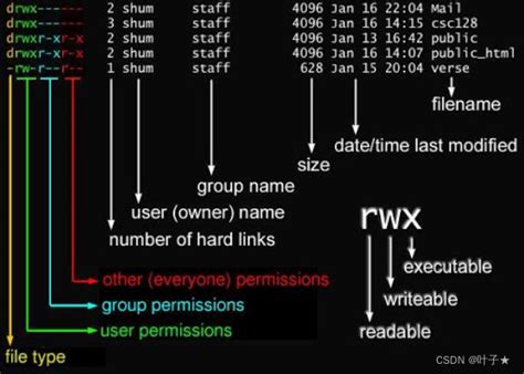 Linux 系统文件权限管理参考菜鸟教程linux 查看属主权限文件 Csdn博客