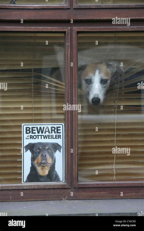 Do Beware Of Dog Signs Really Deter Burglars Unveiling The Truth