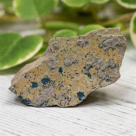 Blue Cobalt 2 The Crystal Council