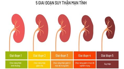 Cách phân biệt giữa suy thận cấp và suy thận mạn tính