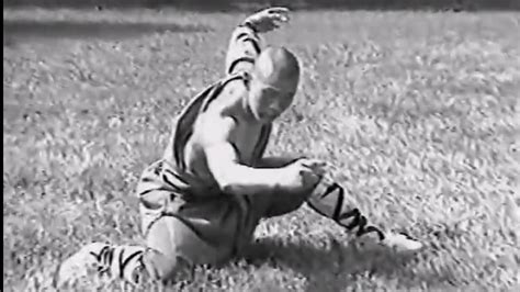 Shaolin Kung Fu Combat Styles: 18. drunken form (醉拳: zui quan) - YouTube