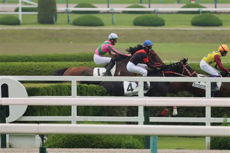 ジャンプレース応援隊 On Twitter 2022年6月18日 阪神4r 障害未勝利 レースの写真続き。 飛越が大きく乱れることもなく