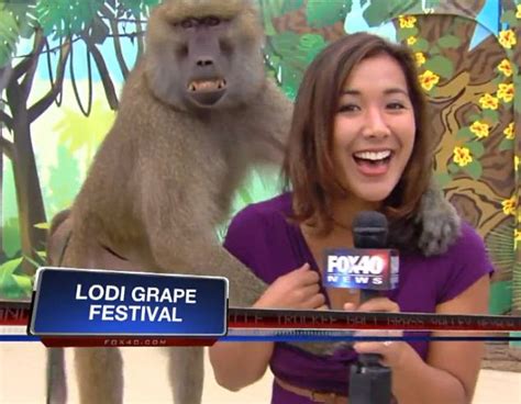 Baboon Grabs Female Tv Reporters Breast Live On Air Photo Video