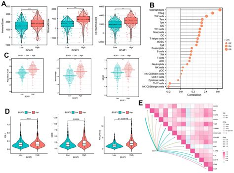 Integrated Single Cell And Bulk Characterization Of Branched Chain