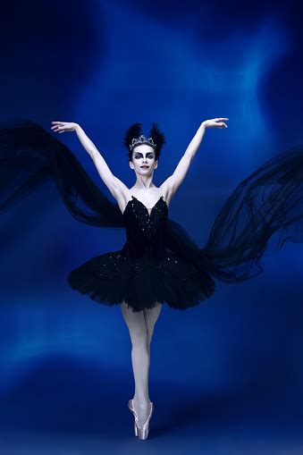 젊은 믿을 수 없을만큼 아름다운 여성의 초상화 검은 발레 의상을 입은 발레리나 빛이 가득한 파란색 스튜디오에서 투투 댄스 발레 댄서에 대한 스톡 사진 및 기타 이미지