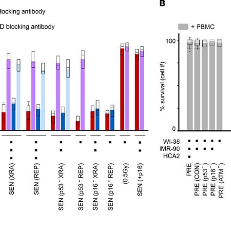 The P14 P53 P21 Pathway And The P16 Rb Signaling Pathways Involved In