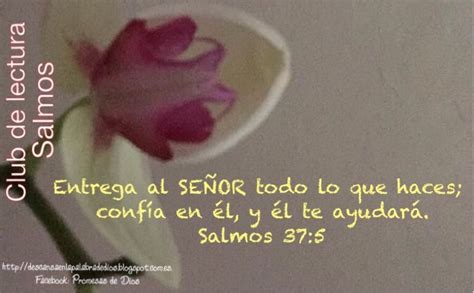 Promesas De Dios Club De Lectura Salmo 37