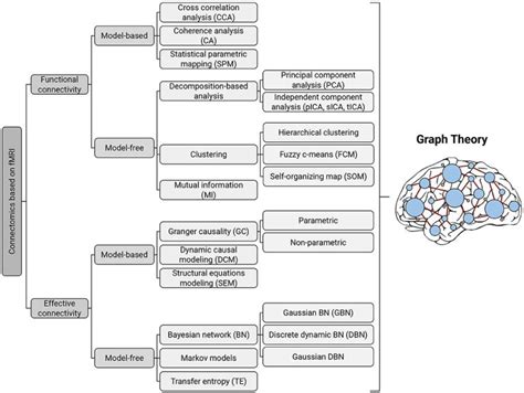 graph theory for identifying connectivity patterns in human brain