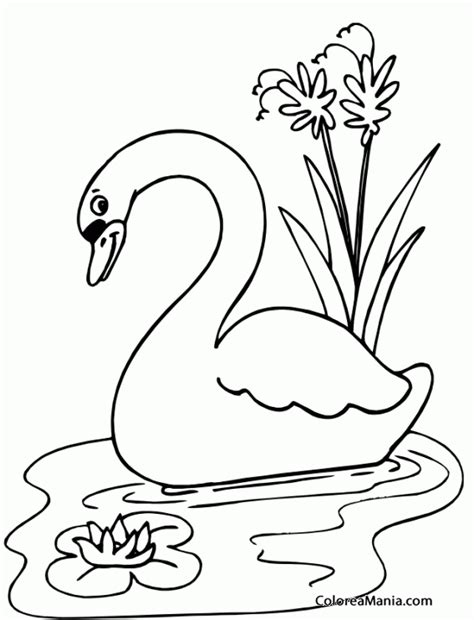 Detalles 82 Dibujo Cisne Para Colorear Camera Edu Vn