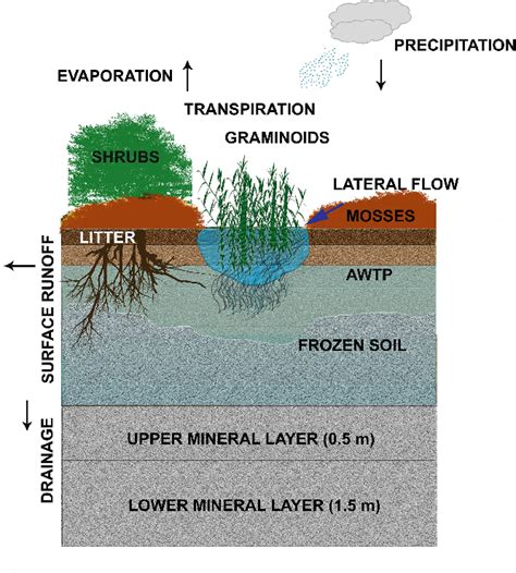 Figure 1 From Modelling Holocene Peatland Dynamics With An Individual Based Dynamic Vegetation