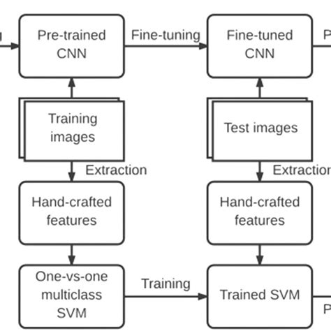 Overview Of The Proposed Method For Biomedical Image Modality