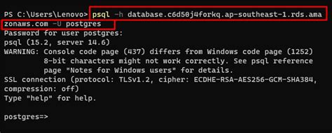 how to connect a db instance running on postgresql in aws rds