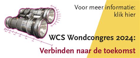 Wcs Classificatiemodel Wcs