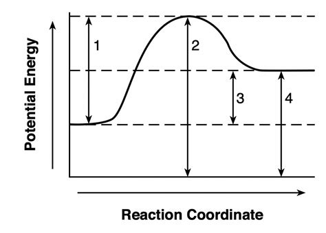 Given the potential energy diagram for a reaction:Which numbered interval represents the activation