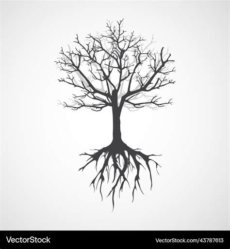 Abstract Tree With Roots Outline Plant In Garden Vector Image