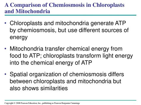 Chapter 10 Photosynthesis. - ppt download