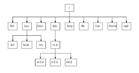 Linux介绍和命令使用