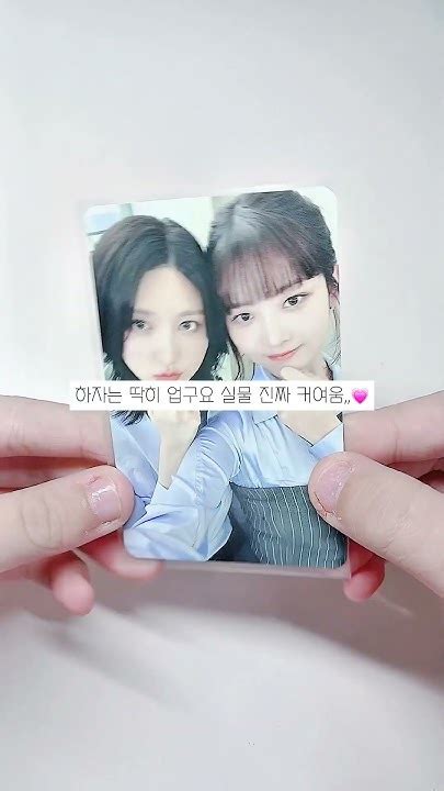 ⭐️구독자 900명 포카 이벤트⭐️ 12 25일 당발 아이브 다이브 구독자 이벤트 다이소 포카 깡 버니즈 떡상 추천추천추천추천