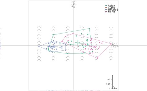 PCA Plot Using Grindr Layers Plot PCA Momocs
