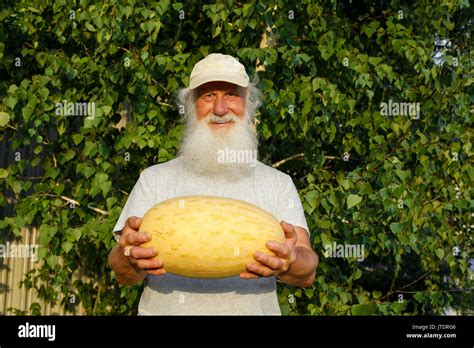 Organically Grown Ripe Melon In Man Hands On Natural Wooden Bachground